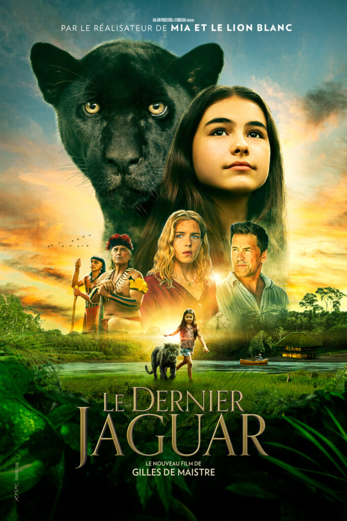 Nouveautés en VSD | TVA Films